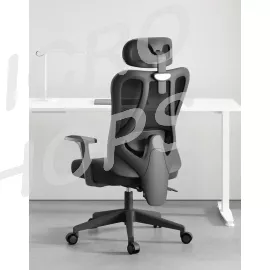 HBADA P1 Ergonomic Chair